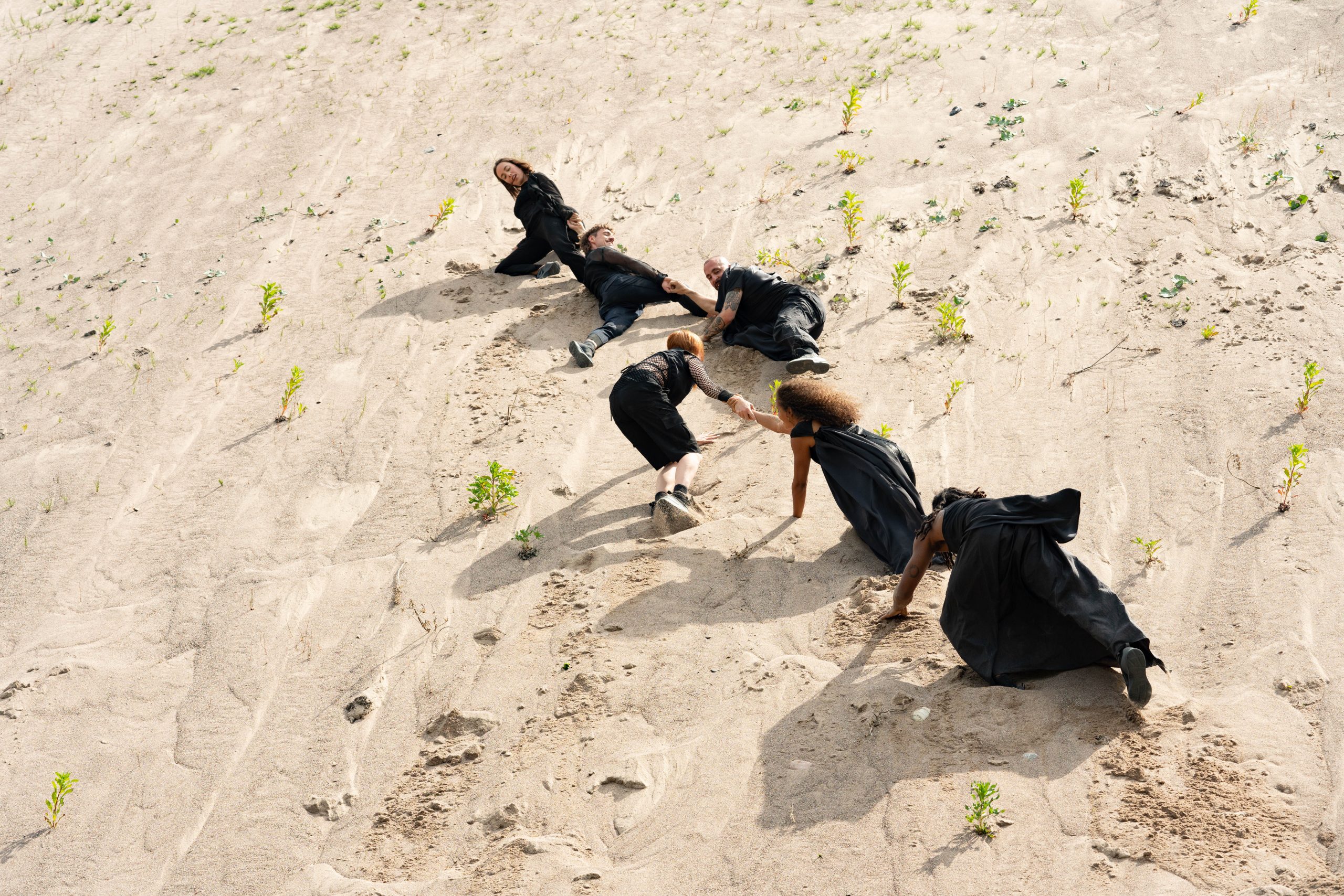 While in battle I'm free, never free to rest - Cullberg